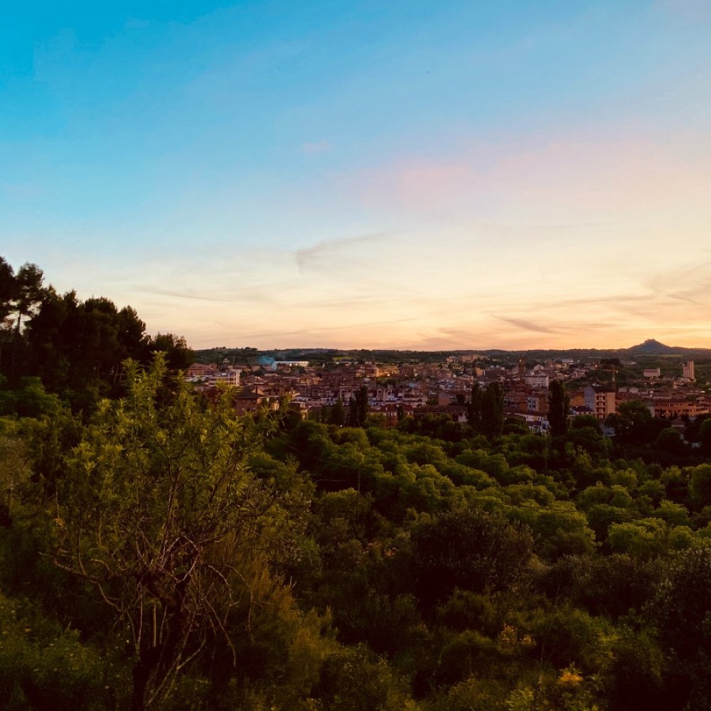 Become a Forest Entrepreneur: Urban Forest Innovation Lab programme ...