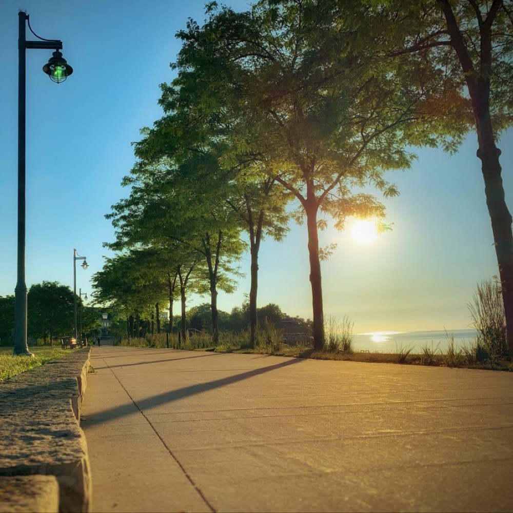 Nature-based solutions take centre stage in the health arena | Interlace Hub