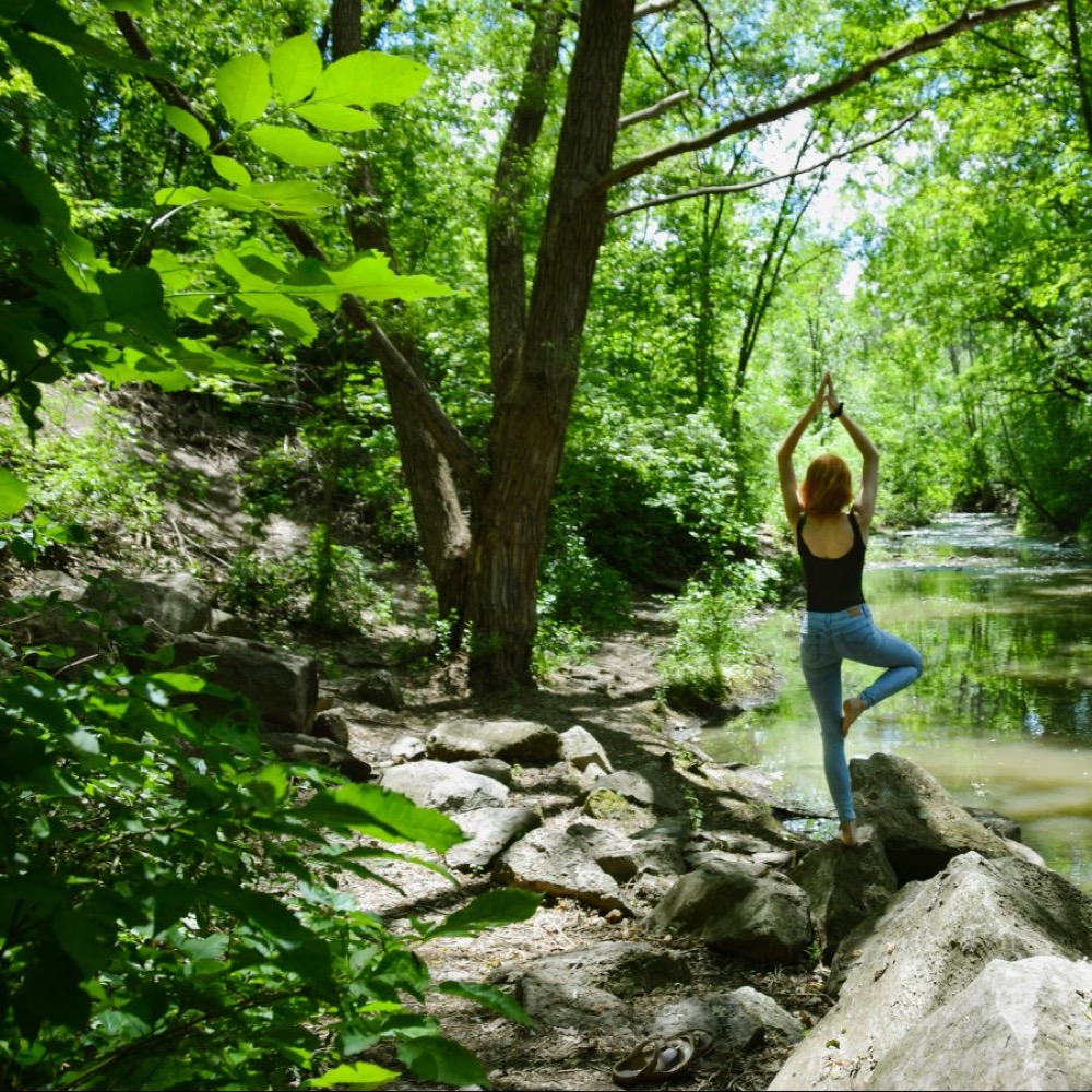 World Health Day: Nature's big impact for health | Interlace Hub