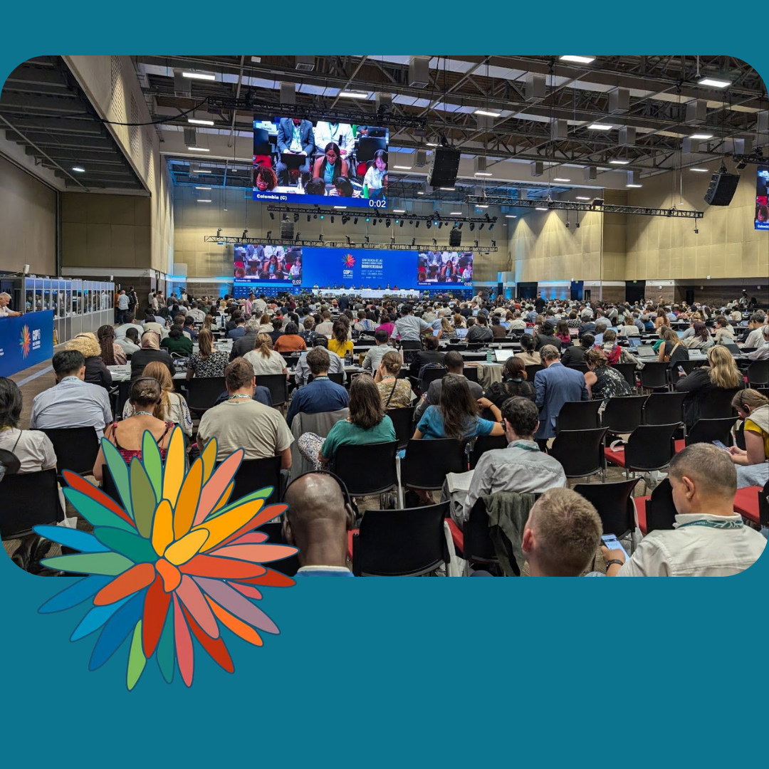 NetworkNature at CBD COP 16: Shaping Our Joint Commitment to ...