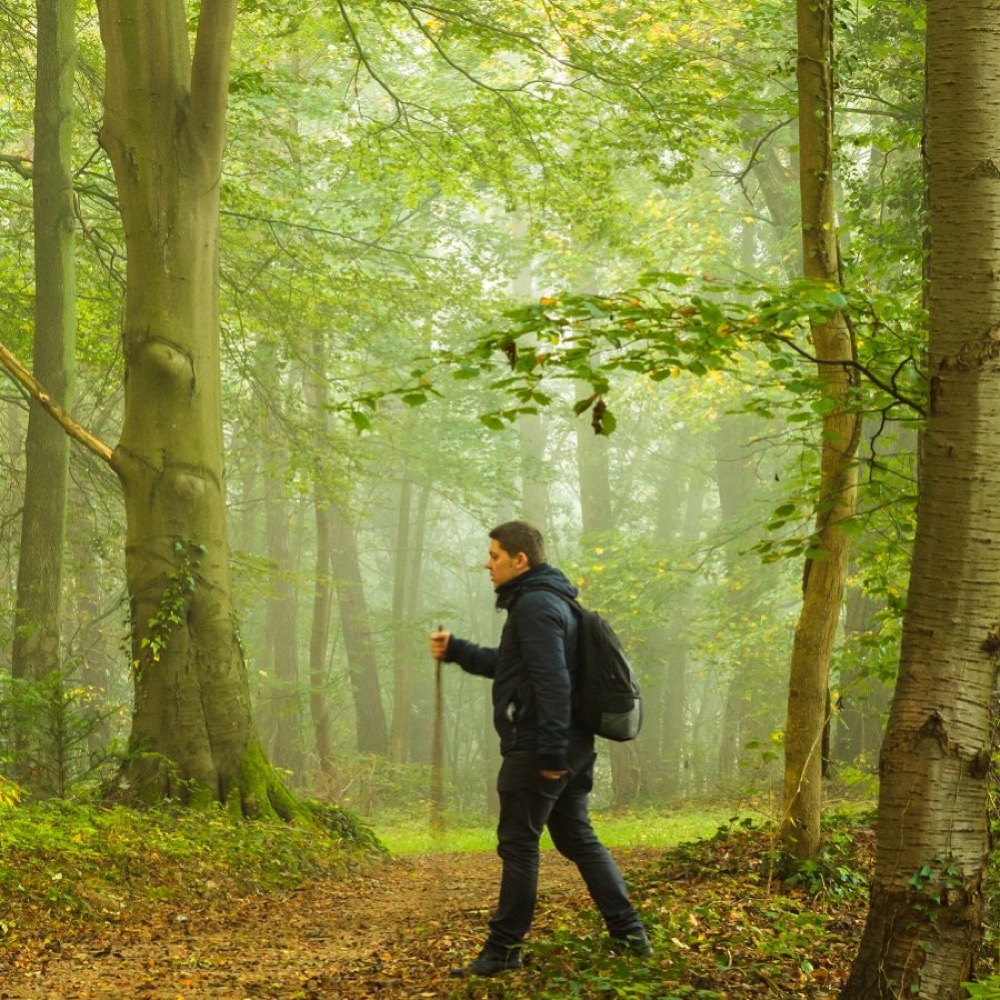 Nature-based solutions in light of the pandemic | Interlace Hub
