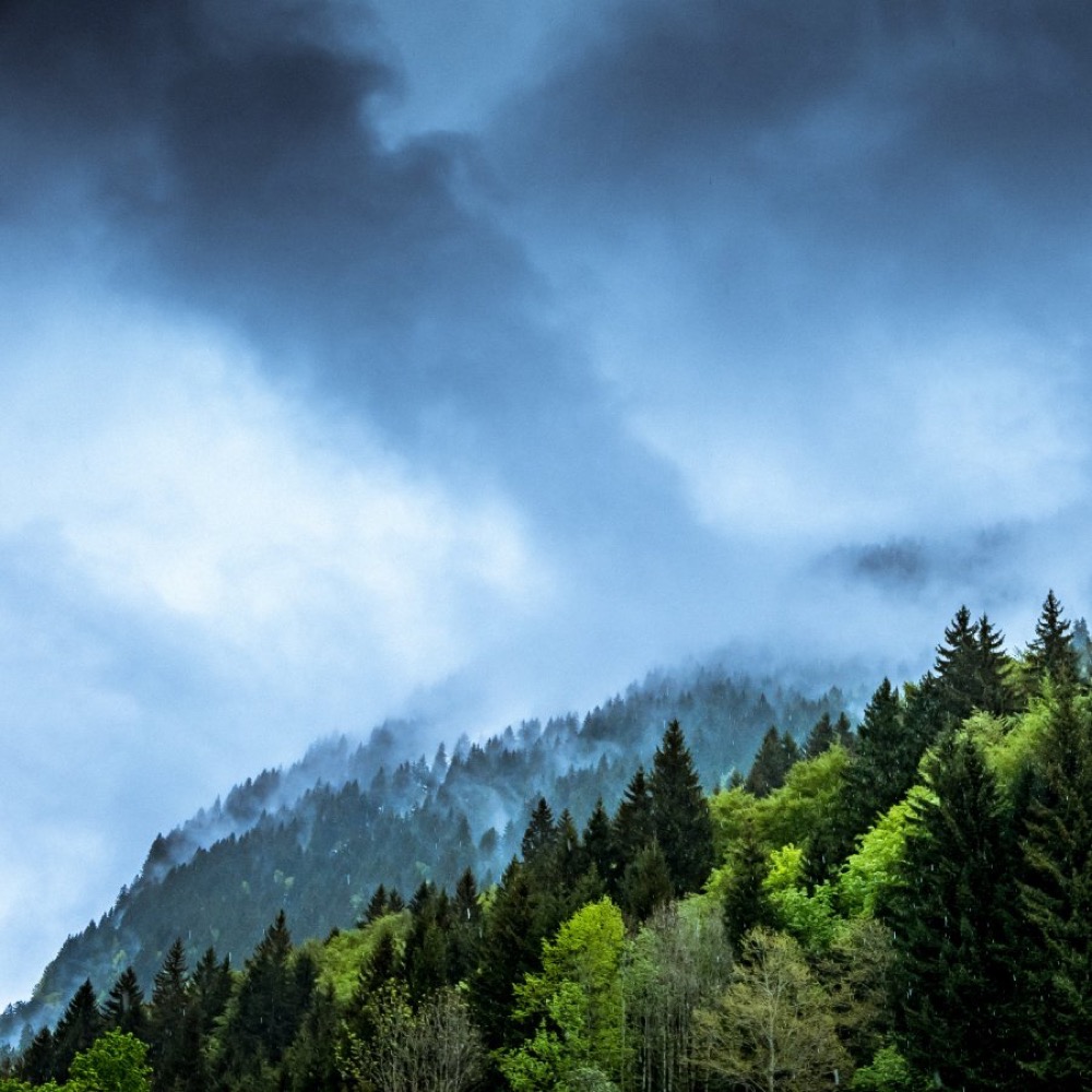 2023 EU Mission Calls: New funding opportunities for Nature-based Solutions Research and ...