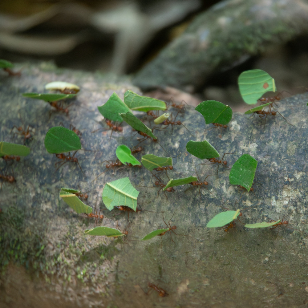 Get to know the Horizon Europe Work Programmes and see how they can ...