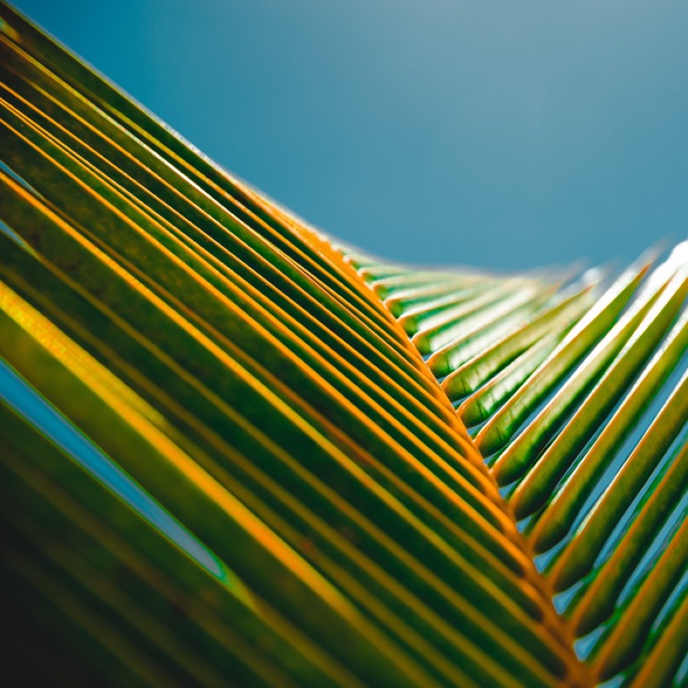 New study on environmental performance framework for nature-based ...