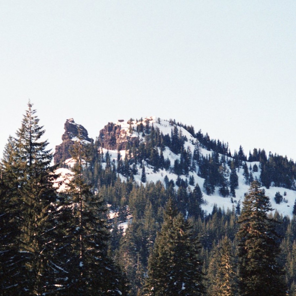 Closer-to-Nature Forest Management | Interlace Hub