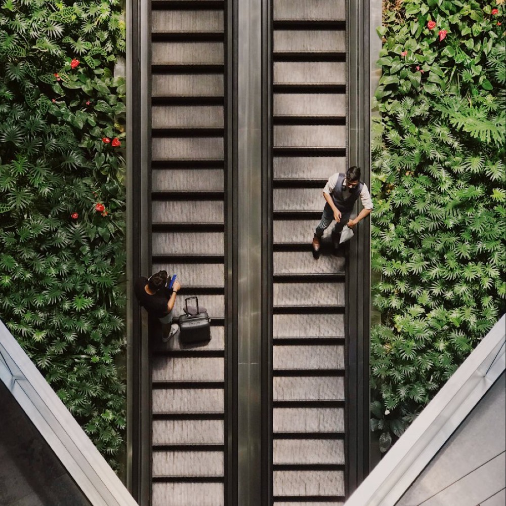 Principles and Criteria of High-Quality Nature-based Solutions ...