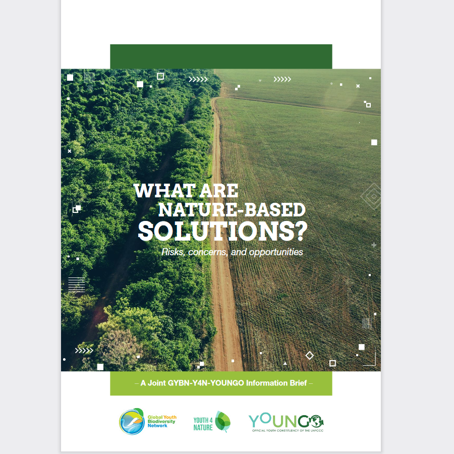 New Brief: What are Nature-based Solutions? Risks, concerns and ...