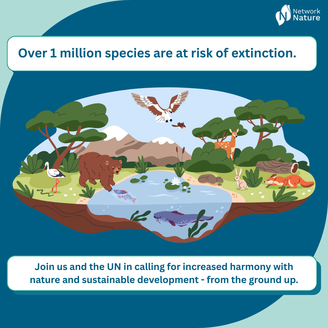 Cities Step Up to Save Soil — Earth’s Most Biodiverse Ecosystem ...