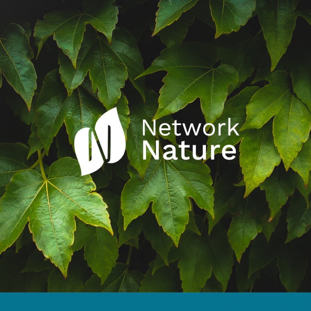 Database of EU research and innovation projects on nature-based ...