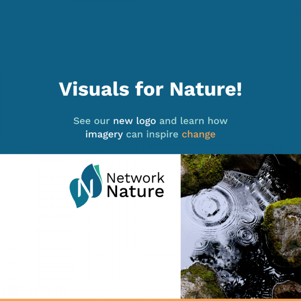 Visuals For Nature Art And Nature Based Solutions Interlace Hub