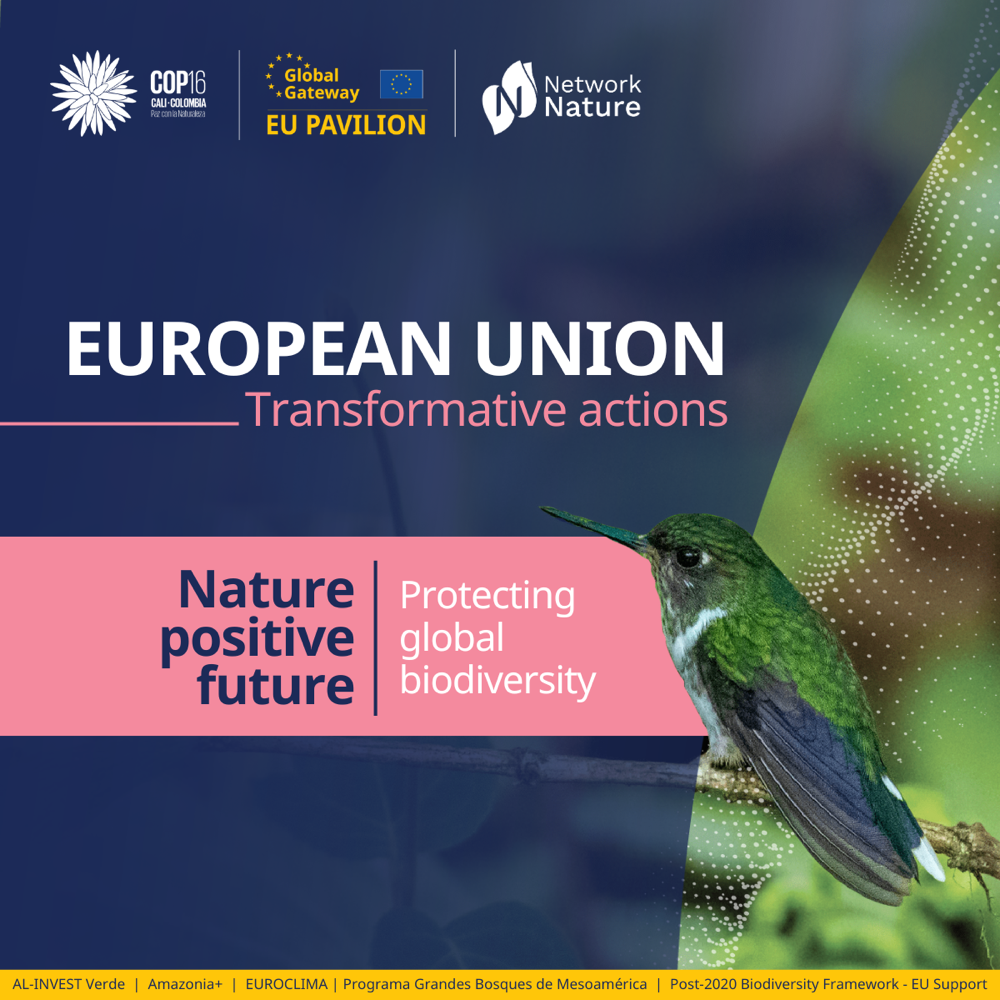 Networknature Joins Multiple Horizon Projects At Cop16 Interlace Hub