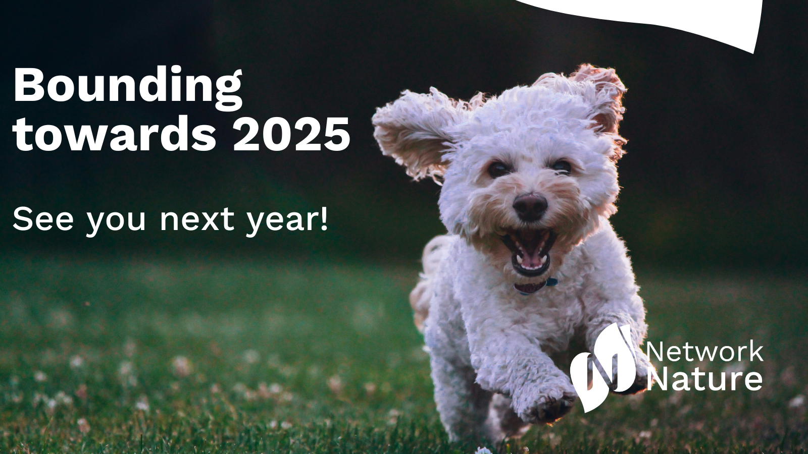 Reflecting on an Inspiring 2024 and Looking Ahead to an Impactful 2025 | Interlace Hub