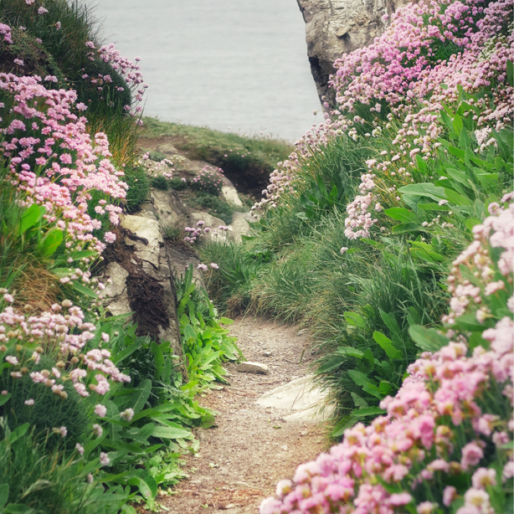 Learn About Three Different Funding Opportunities For Nature Based